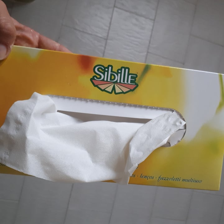 Sibille Fazzoletti monouso Review | abillion
