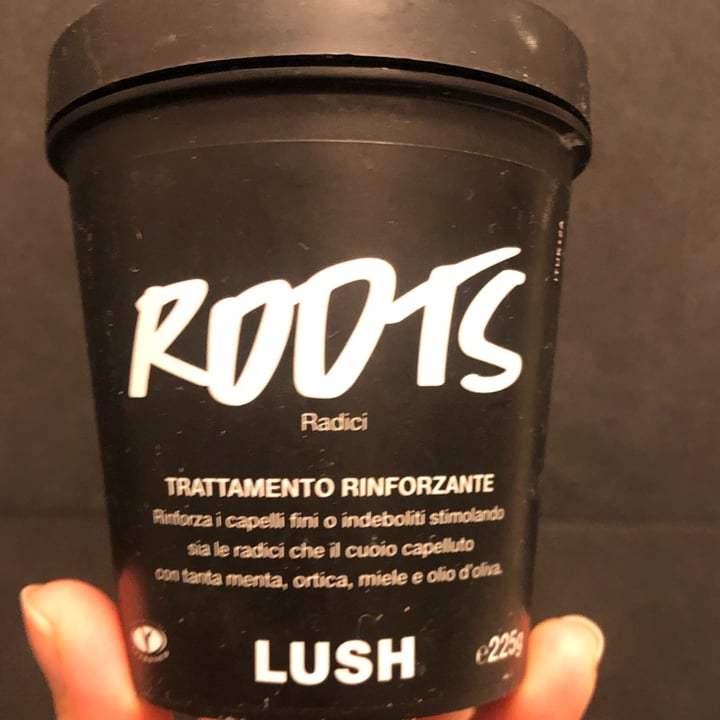 LUSH Fresh Handmade Cosmetics Roots Review | abillion