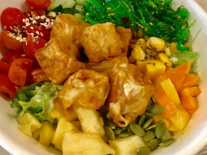 Tummy Bowl Penang Bandar Bayan Baru, Bayan Lepas, Malaysia Tofu Salad ...