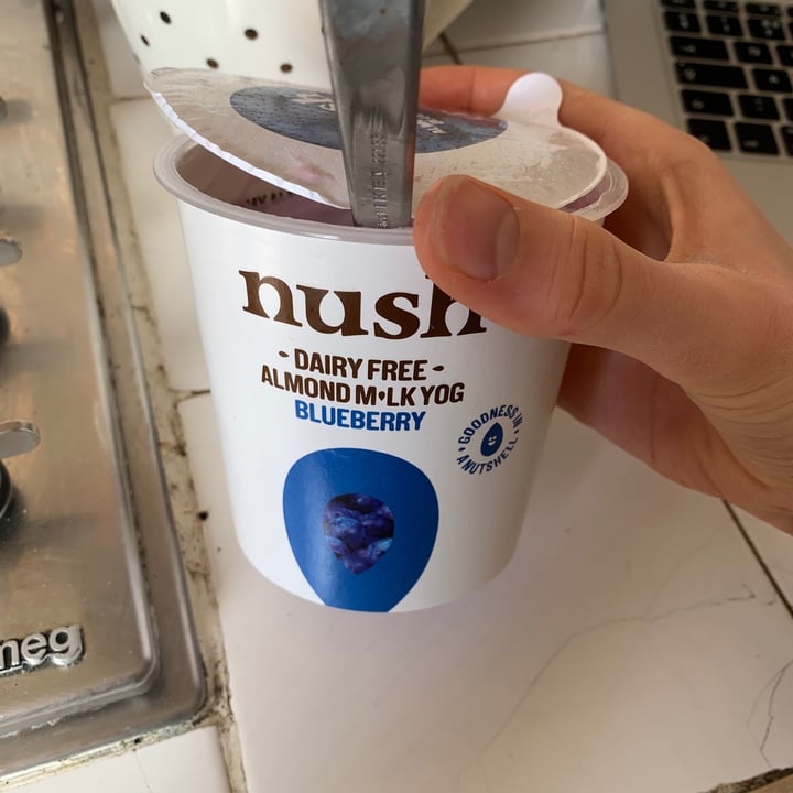 Nush Almond Milk Yog Blueberry Review | abillion