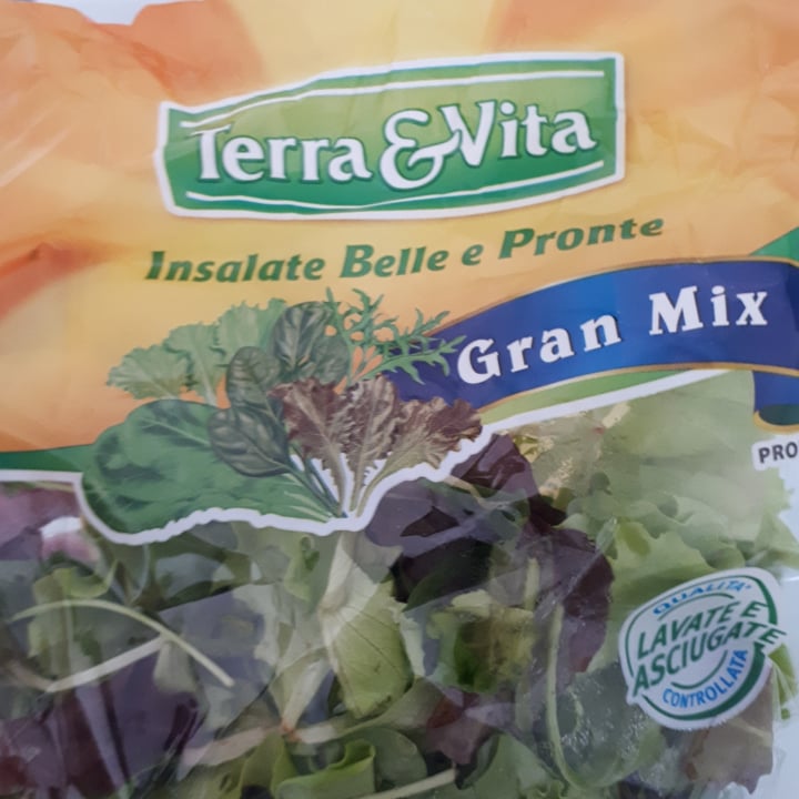 Terra & vita Insalata gran mix Review | abillion