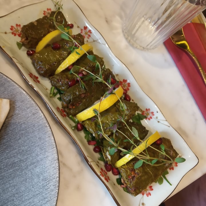 Libnani bar&kök Norra Nynäshamn, Sweden Dolmaki Review | abillion