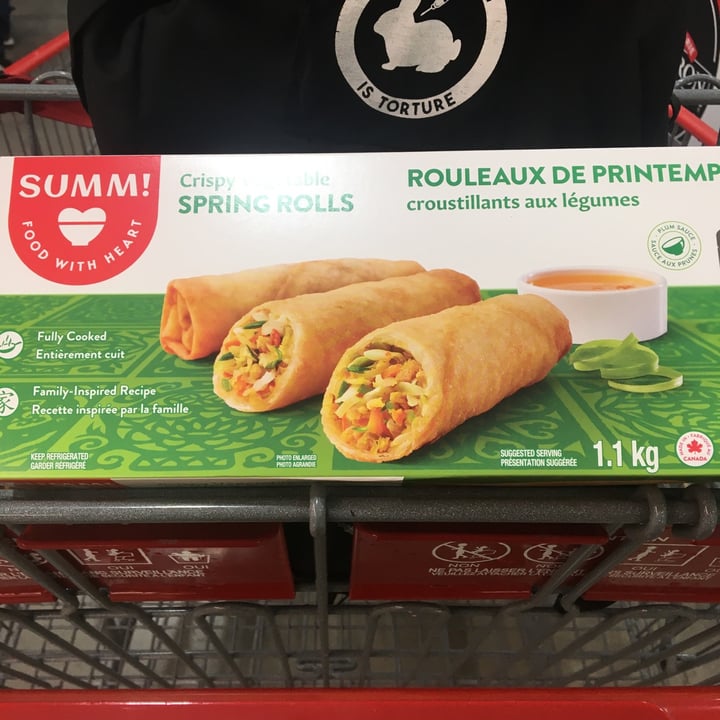 Summ! Crispy Vegetable Spring Rolls Review | abillion