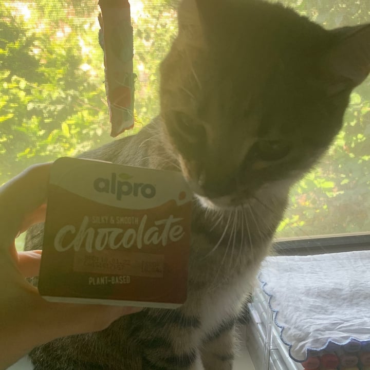Alpro Silky Smooth Chocolate Soya Dessert Review | abillion