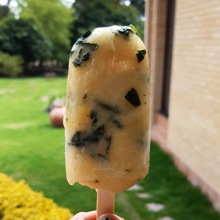 Frutisima natural Paletas Veganas Review | abillion