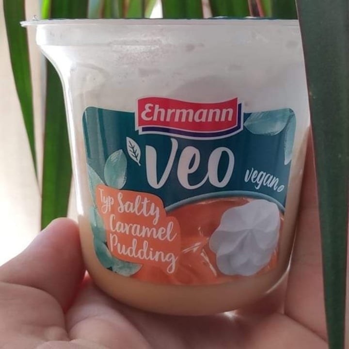 Ehrmann Veo Vegan Salty Caramel Pudding Review | abillion