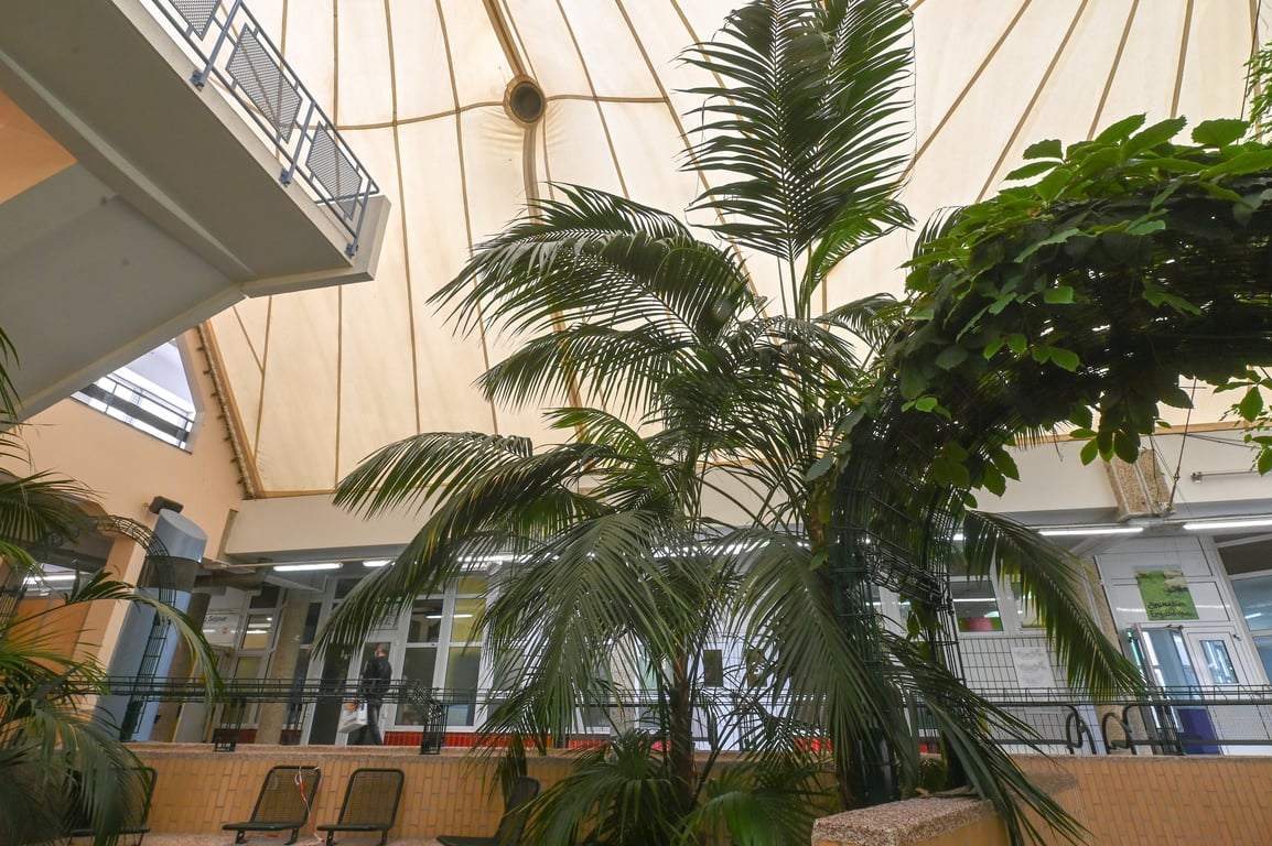 Centre Hospitalier Saint-Denis | Espace Recrutement | Présentation