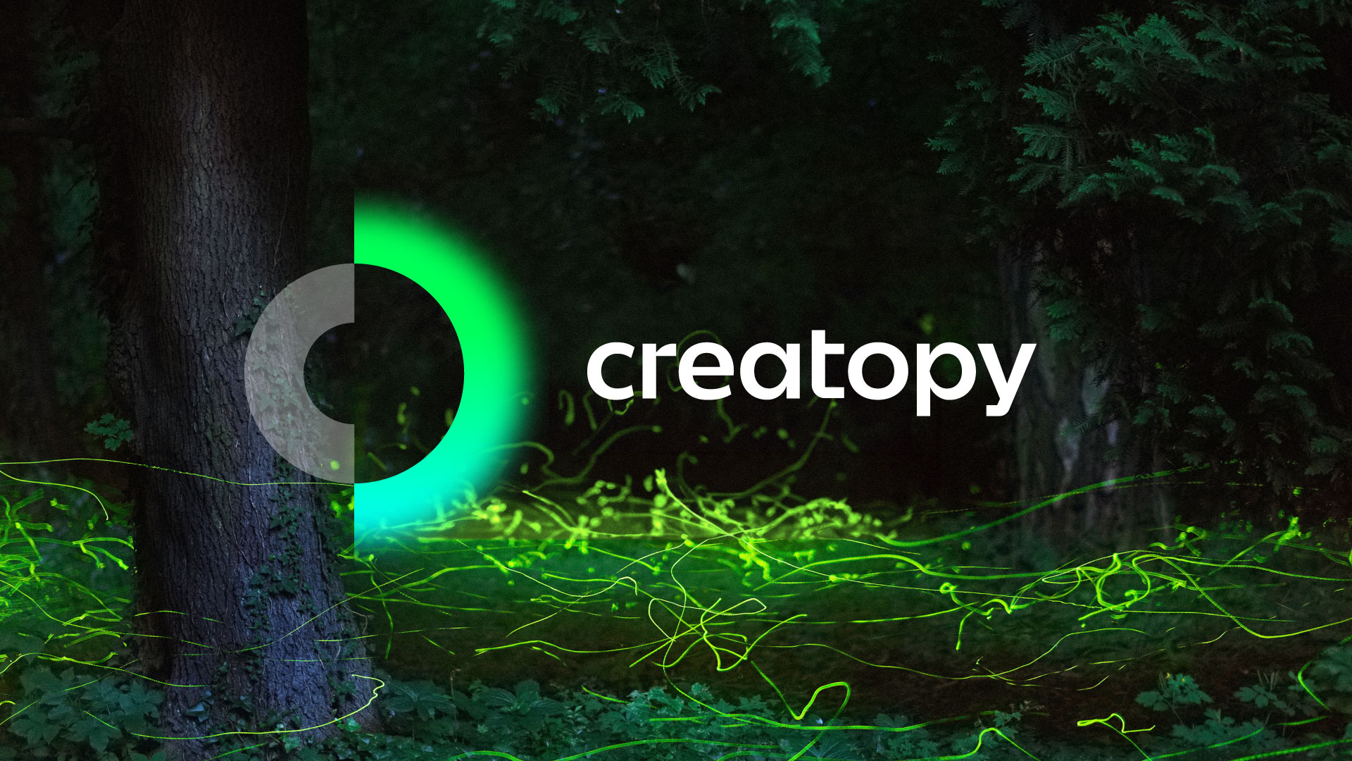 Creatopy – Brandient