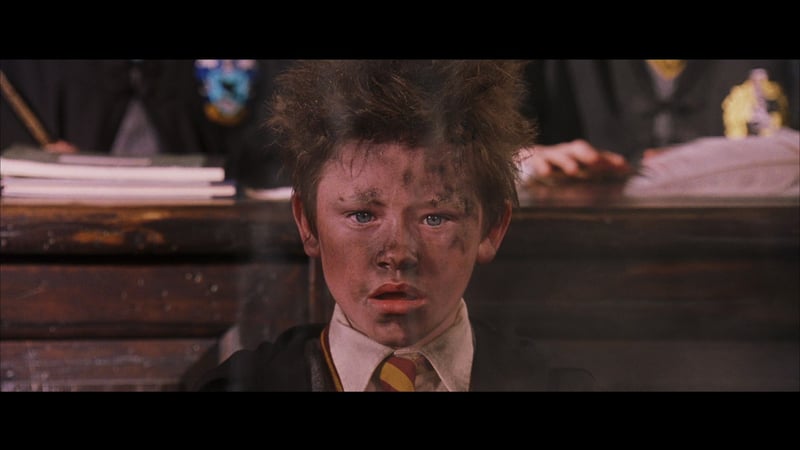 Harry Potter Spells and Charms Every Wizard Should Know