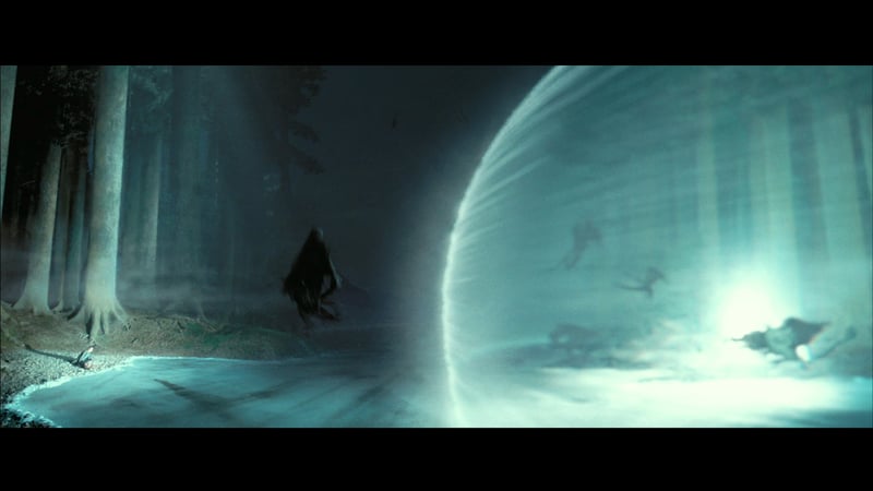 Harry Potter Spells and Charms Every Wizard Should Know