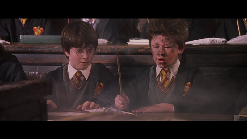 Harry Potter Spells and Charms Every Wizard Should Know