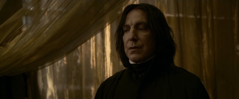 Harry Potter Potions Quiz: Will You Please Severus?