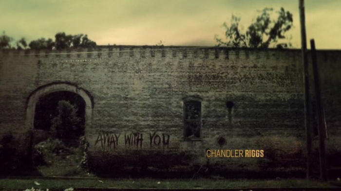 The Walking Dead Quiz. Only Fans Can Get 14/22