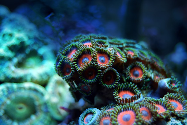 You Might Have Trypophobia! Check Your Triggers Here