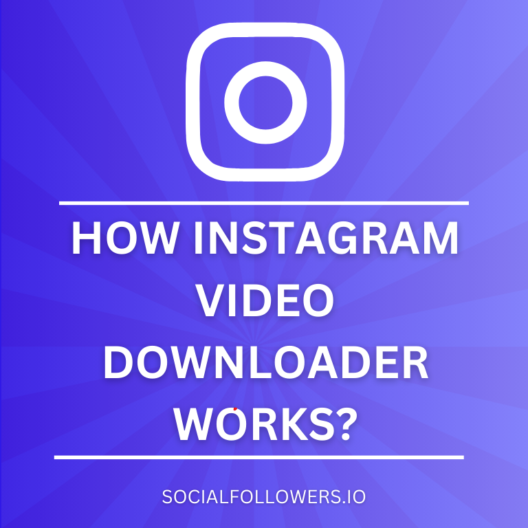 Instagram Video Downloader | Save High-Quality Videos with ...