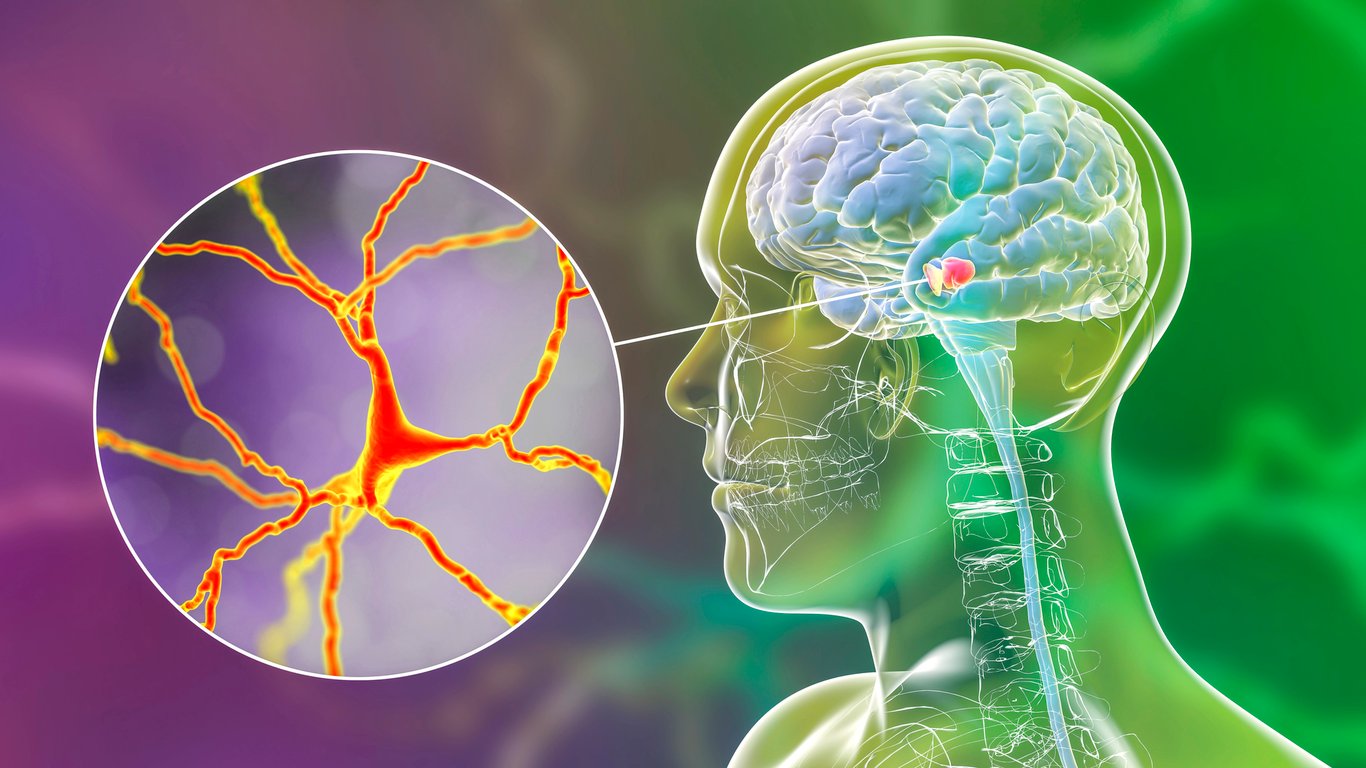 Centrum.cz: Fandíme dobrému obsahu