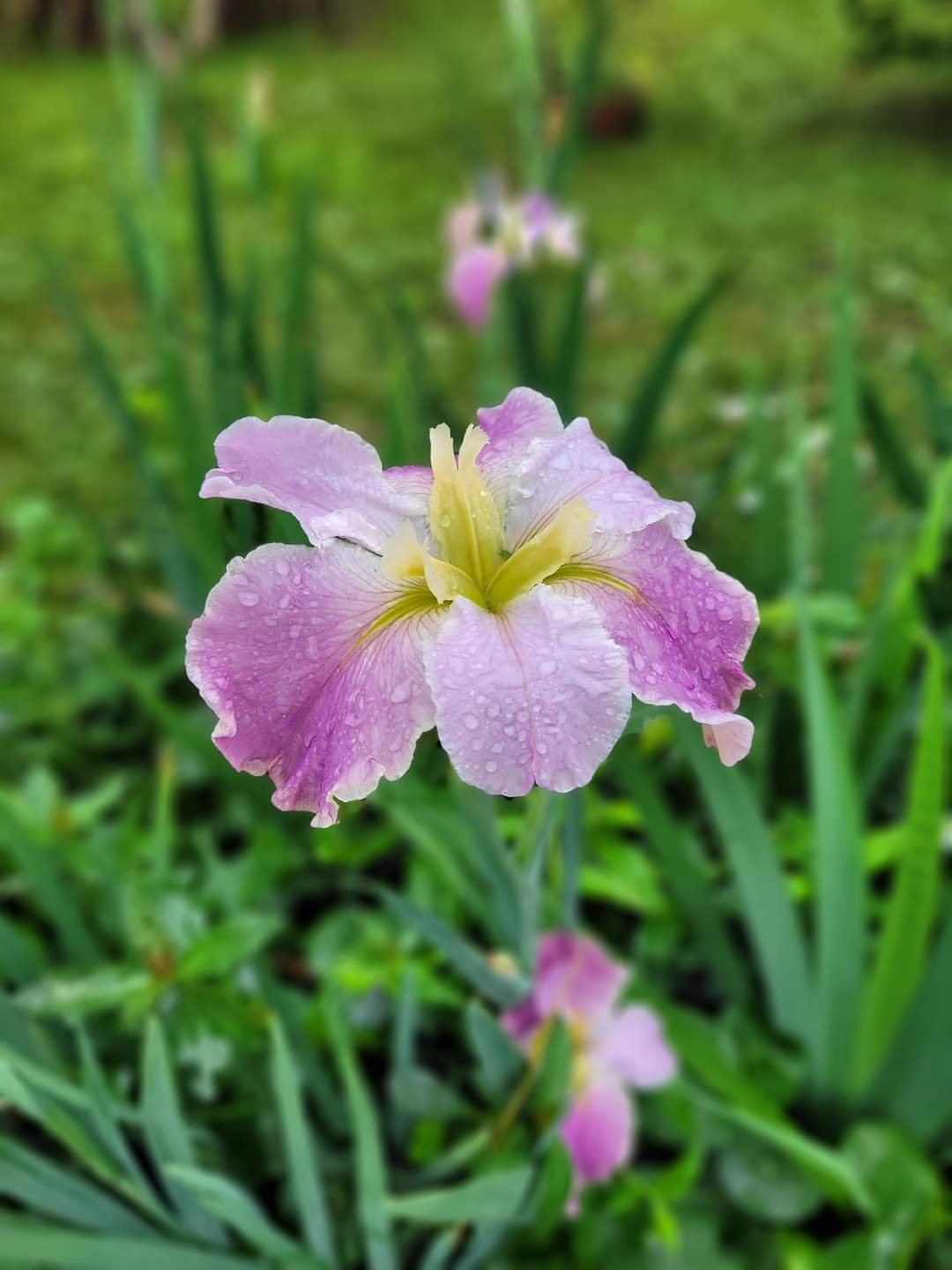 愛情開天窗|徵文 - Flora異想 - Matters