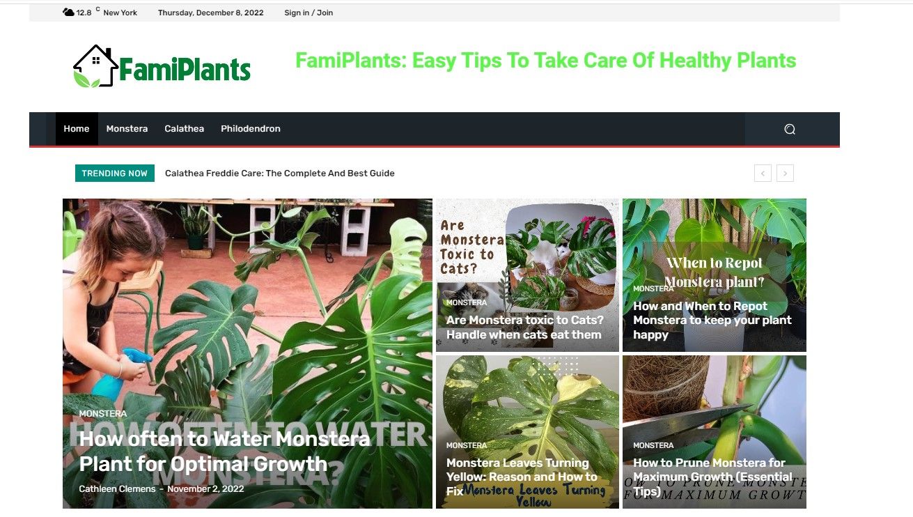 Famiplants - Matters