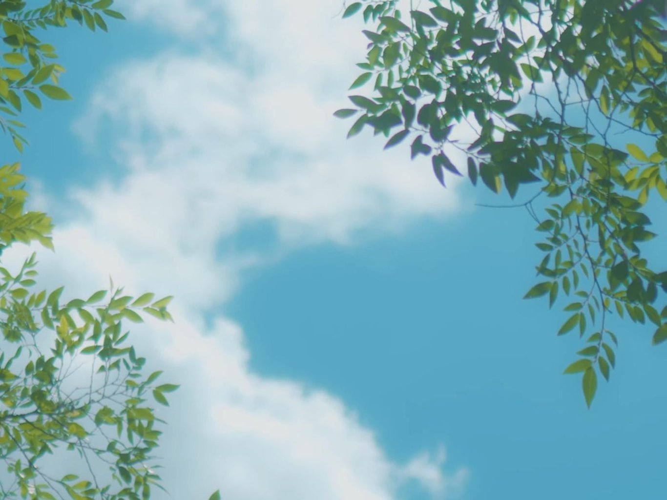 秋涛夏雲 - Matters