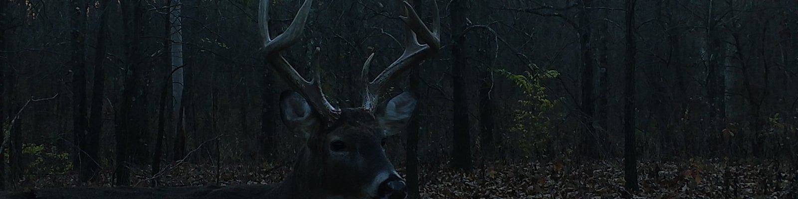 Alex Aitken - Profile