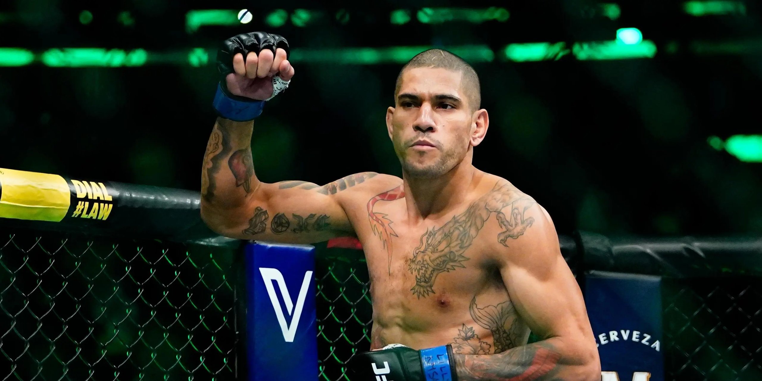 All UFC Fighters That Have Won Championships in Multiple Divisions