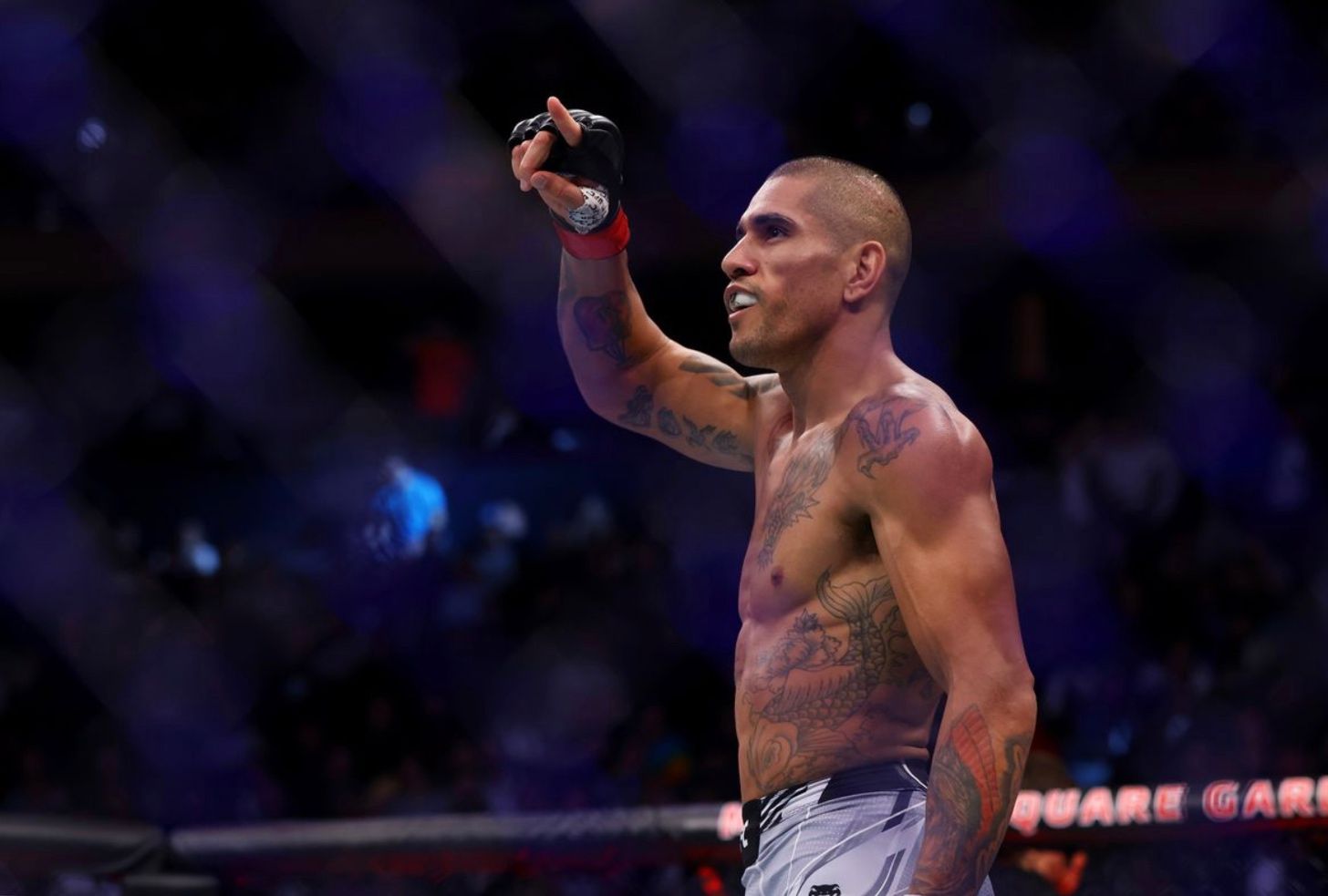 Alex Pereira Gains 34lbs in Less Than 3 Days