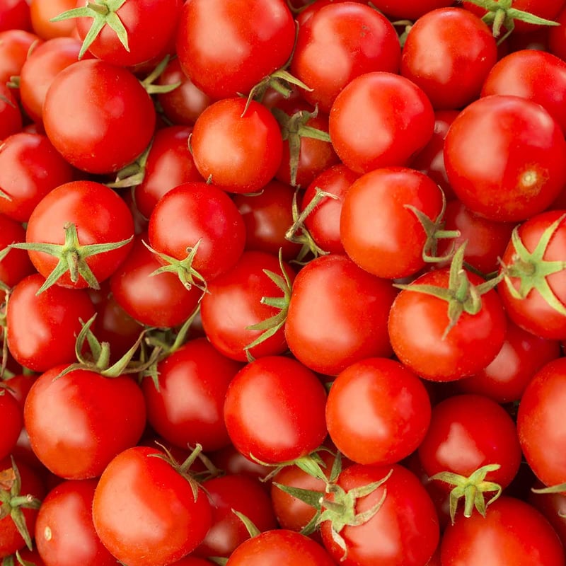 Fresh Tomato Day | April 6, 2025