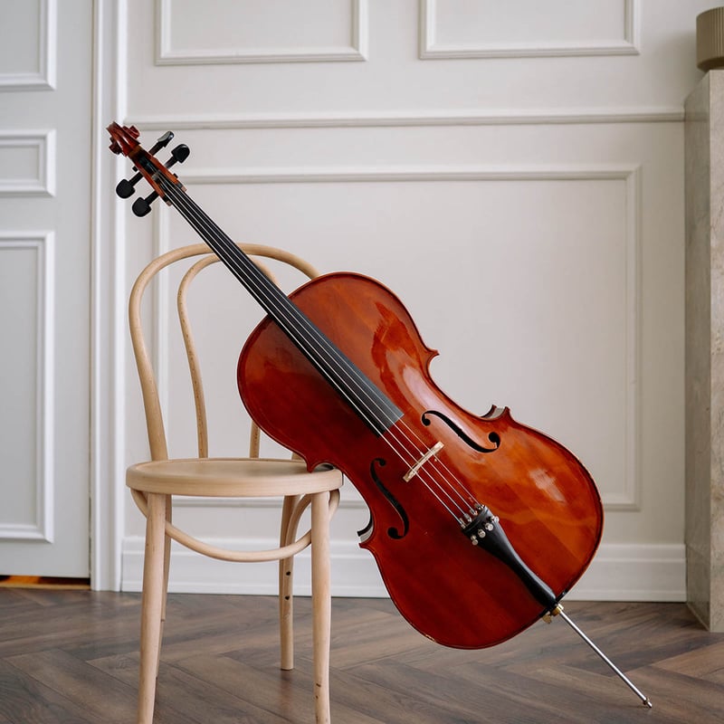 International Cello Day | December 29