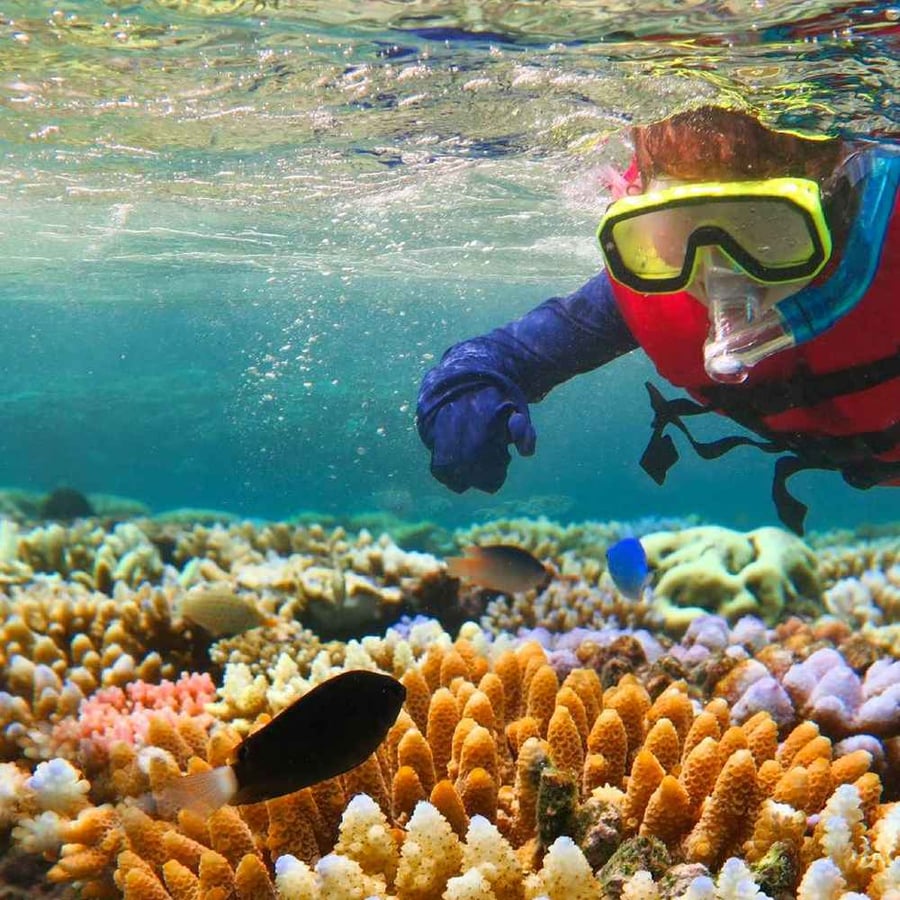 World Reef Awareness Day | June 1, 2026