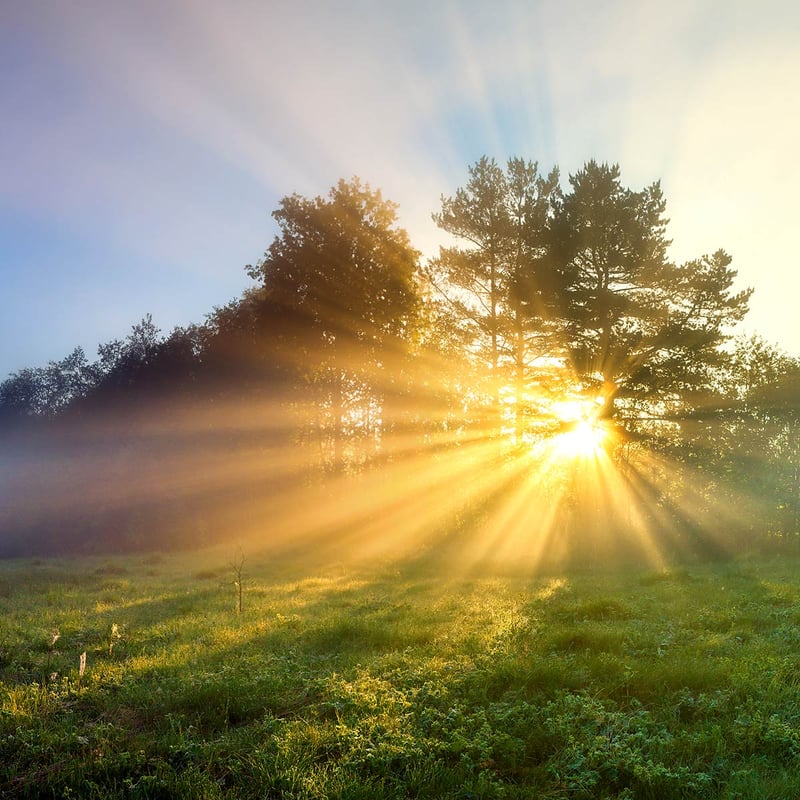 Sun Day | May 3, 2025