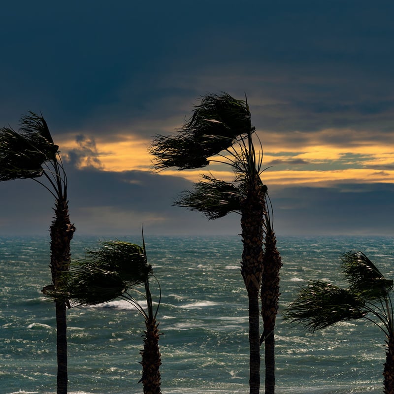 Big Wind Day | April 12