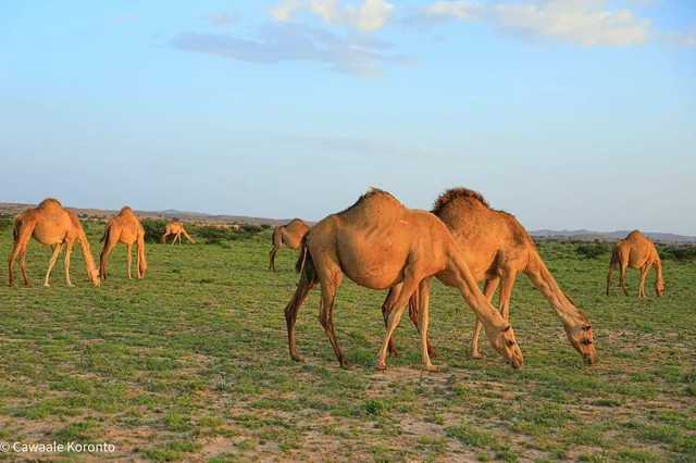 Most Hated Country 2024