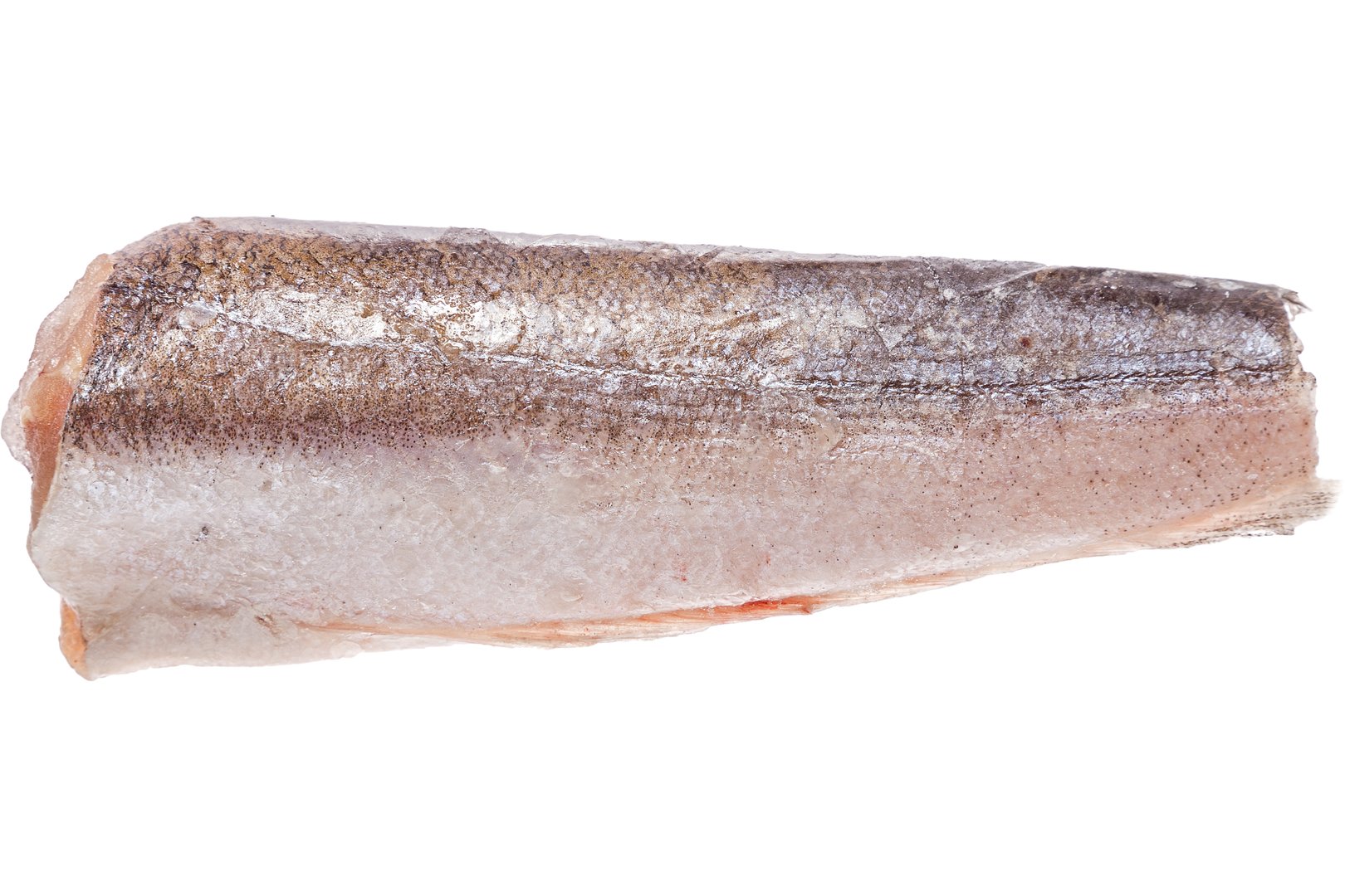 Hake whole Spain price from 189 UAH to order delivery in the city of Kiev