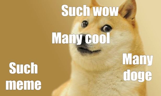 What is a Meme Coin? The Biggest Meme Coins You Must Know About