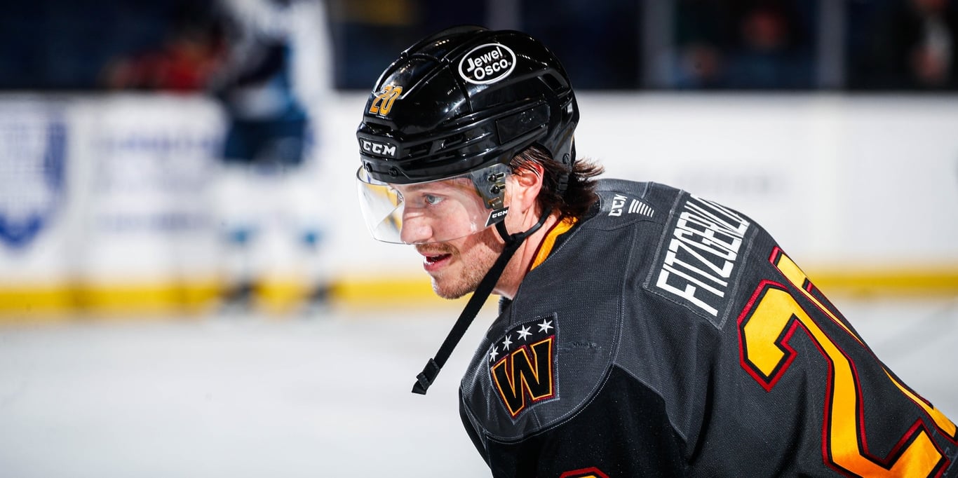 Chicago Wolves - Donation Request