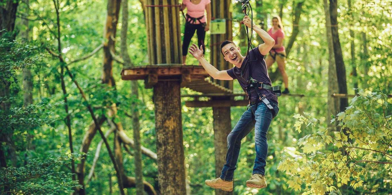 Go Ape - Donation Request