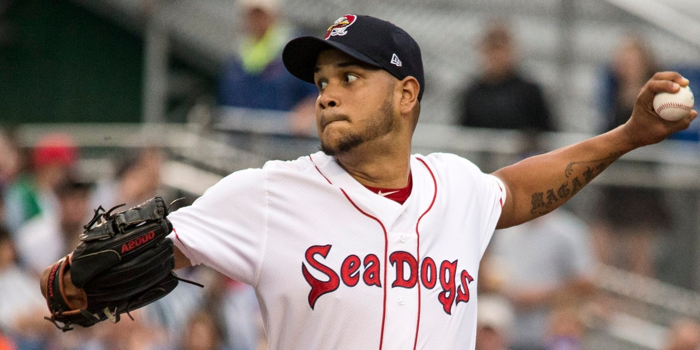 Portland Sea Dogs - Donation Request