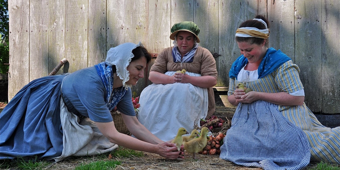 Coggeshall Farm Museum - Donation Request
