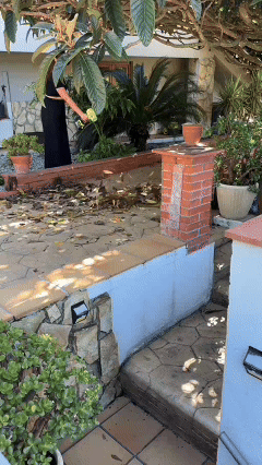 SEESE PRO™ – Ultra-Light, Ultra-Powerful – Seese AU