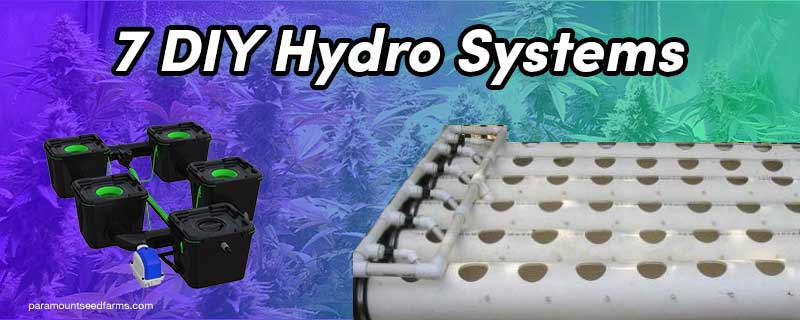 7 DIY Hydroponic Systems - Build Your Own Hydro System