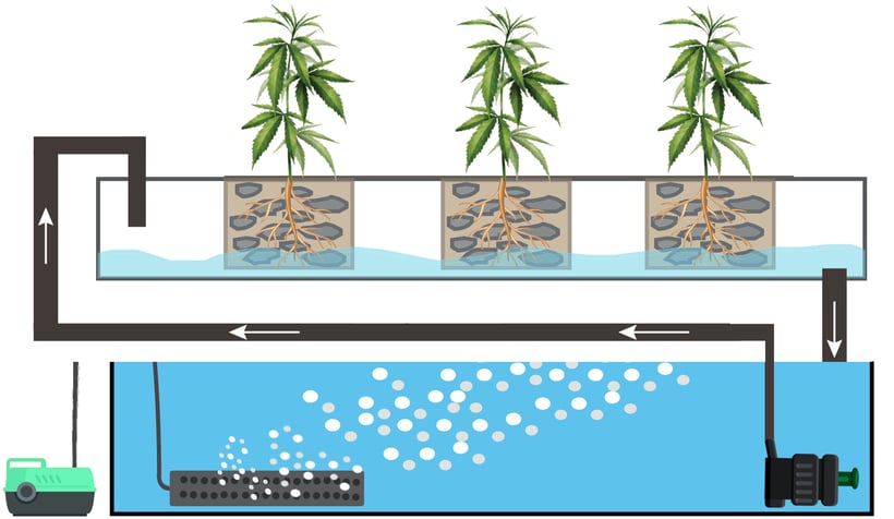 NFT Hydroponic Systems: Guide & How-To