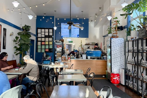 🍽️ Tea Rex in San Francisco • Menu, Prices & Reviews