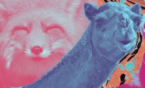 Prompt 13 - Animal | Adult Reading Challenge | Libraries | Lewisham ...
