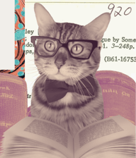 Prompt 3 - Librarian | Adult Reading Challenge | Libraries | Lewisham ...