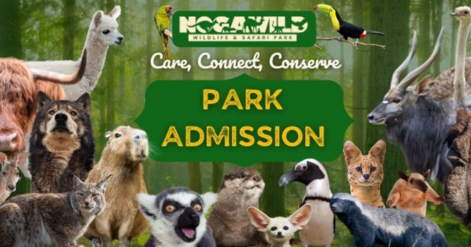 North Georgia Wildlife & Safari Park Admission | Greetwell