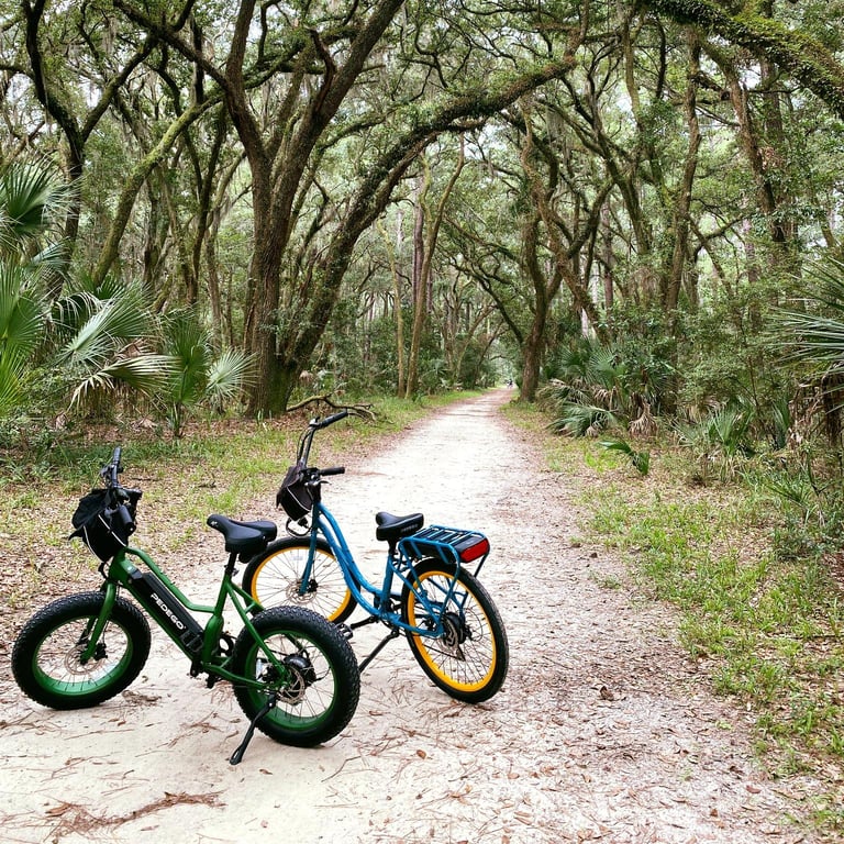 Palmetto Bluff Pedego Electric Bike Tour | Greetwell