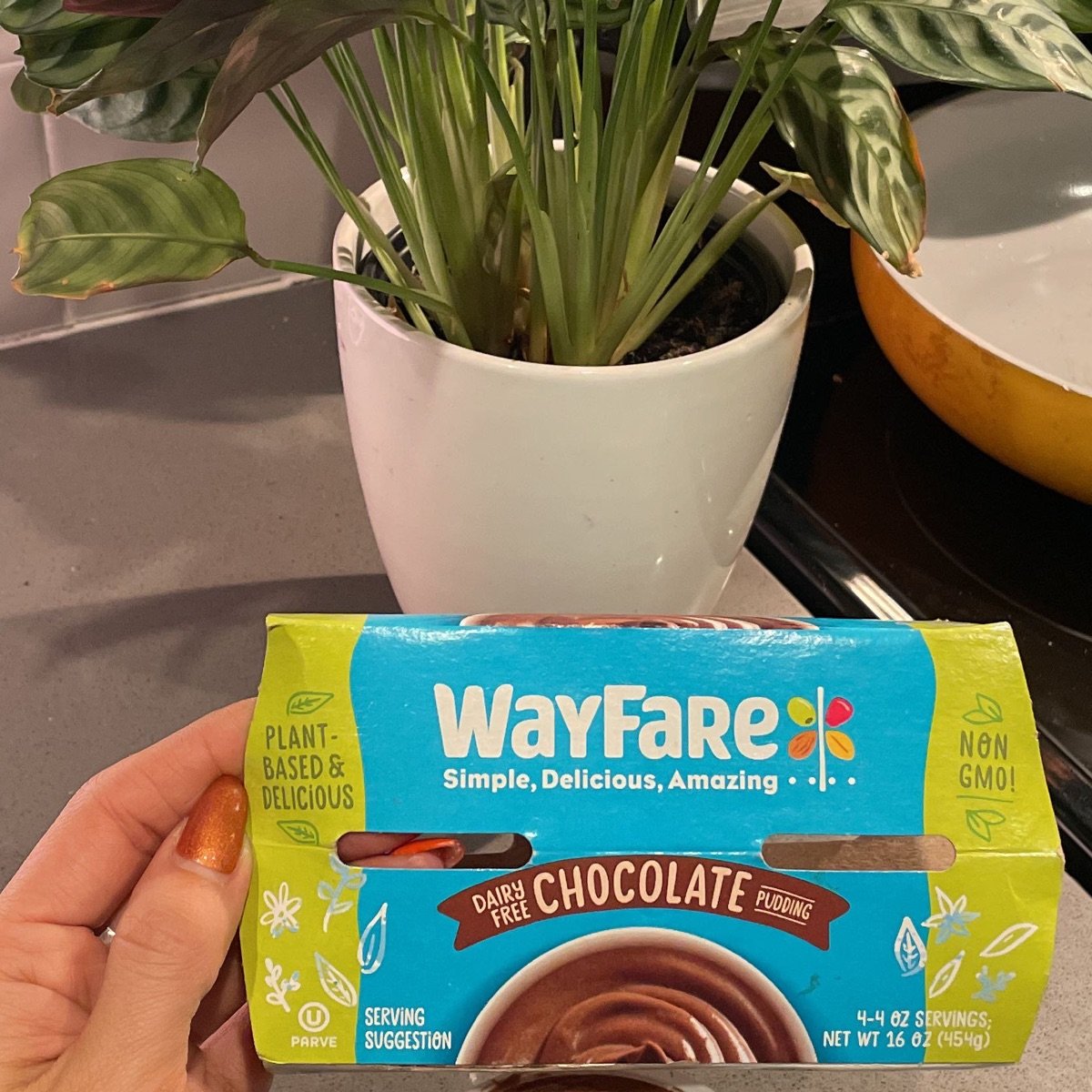 Chocolate Pudding from WayFare - Vegan Product Reviews & Ratings | abillion