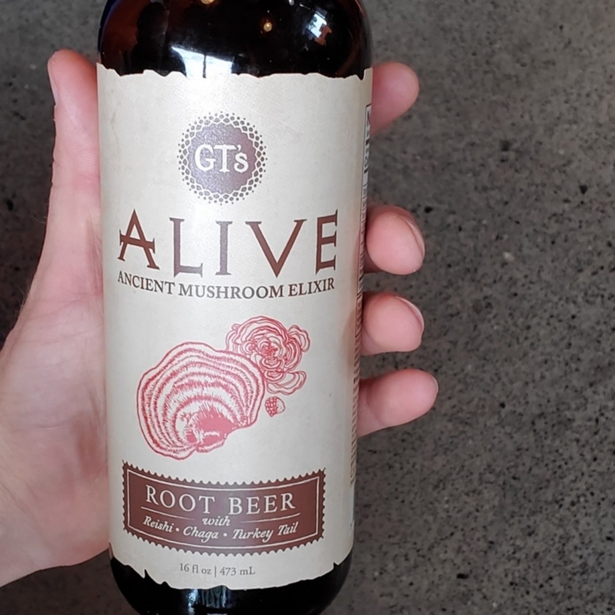 root beer elixir from GT’s Alive - Vegan Product Reviews & Ratings ...