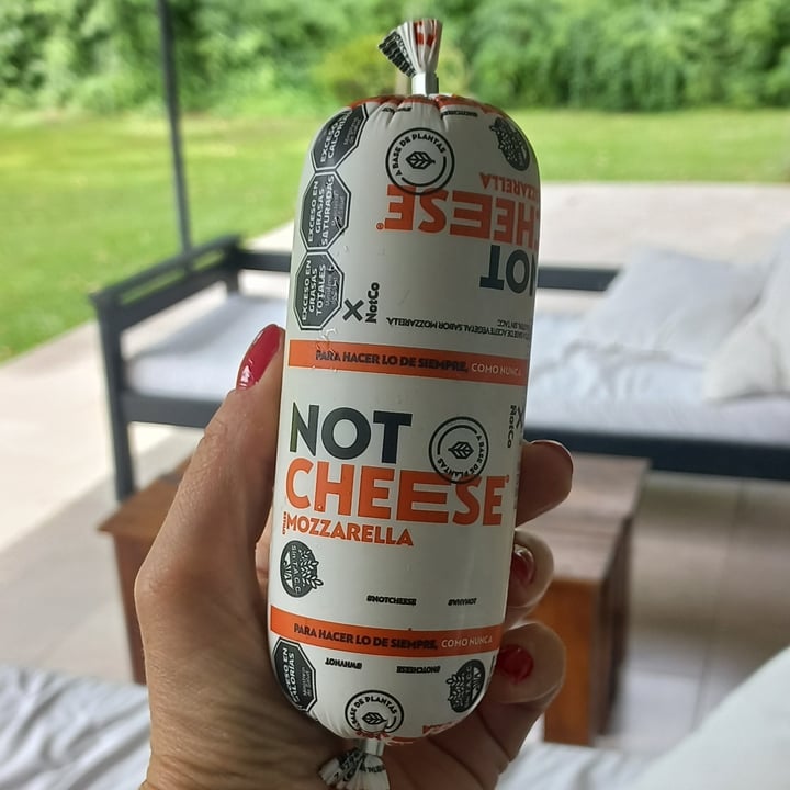 NotCo Not cheese mozzarella Review | abillion