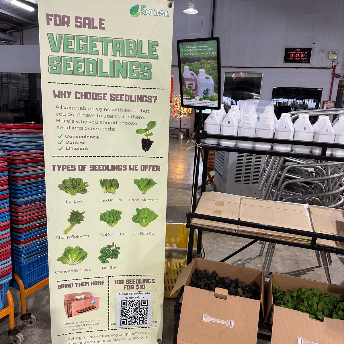 Carrot from Kok Fah Farm - Vegan Product Reviews & Ratings | abillion